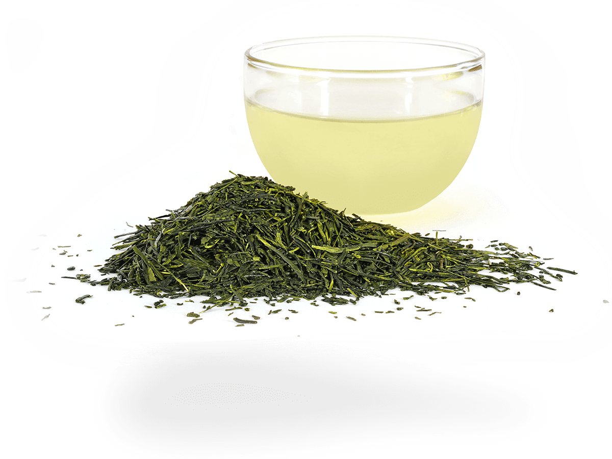Grüner Tee Sencha | Grüner Tee | PREMIUM TEES | tea4chill