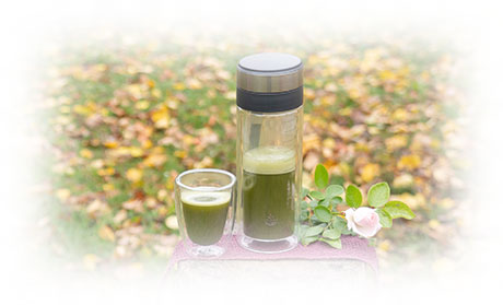 Matcha Shaker - die moderne Art der Matcha-Bereitung | tea4chill