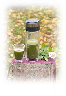 Matcha Shaker - die moderne Art der Matcha-Bereitung | tea4chill